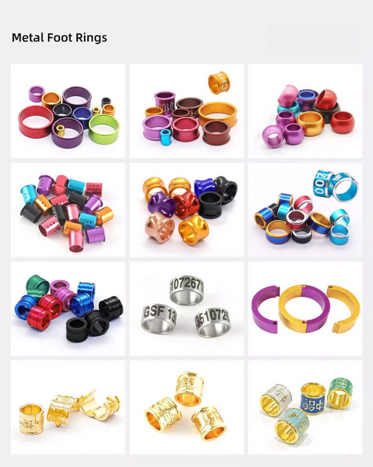 Pigeon Rings - CNCPROTOLAB-CNC PROTO LAB