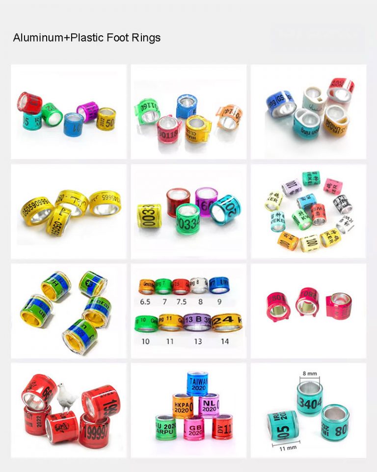 Pigeon Rings - CNCPROTOLAB-CNC PROTO LAB