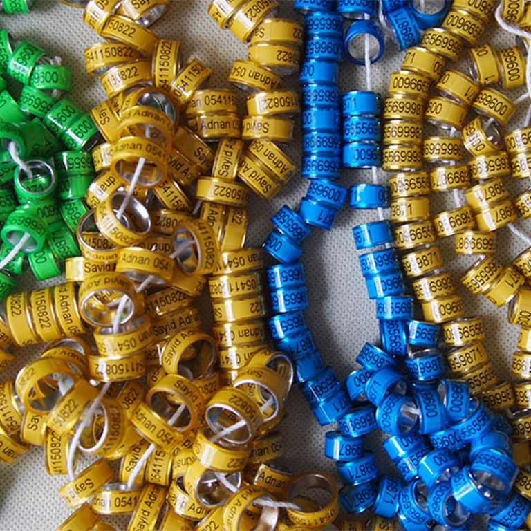 Pigeon Rings - CNCPROTOLAB-CNC PROTO LAB