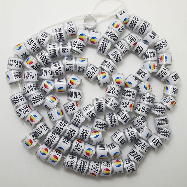 Pigeon Rings - CNCPROTOLAB-CNC PROTO LAB