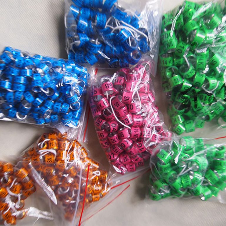 Pigeon Rings - CNCPROTOLAB-CNC PROTO LAB