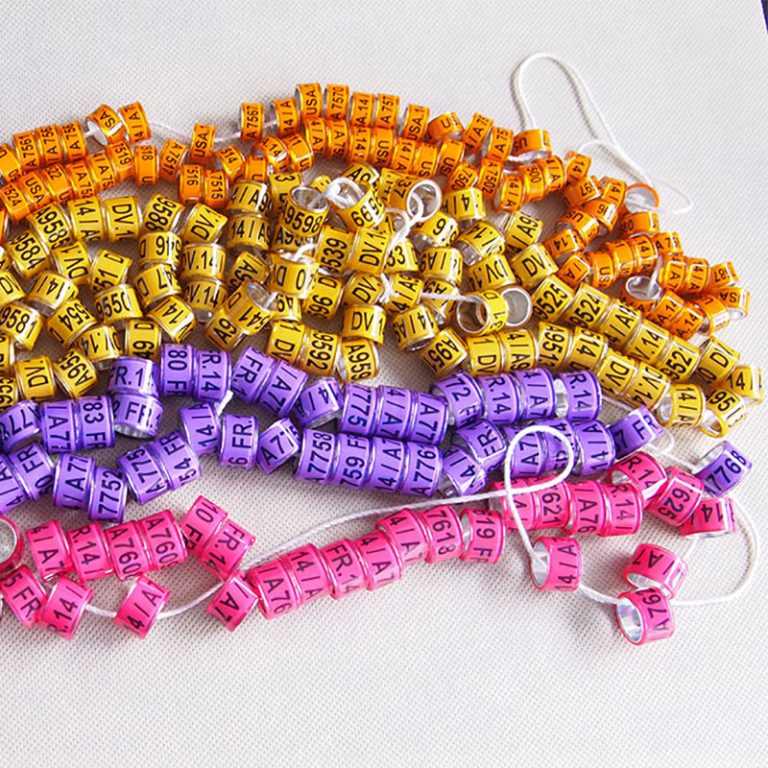 Pigeon Rings - CNCPROTOLAB-CNC PROTO LAB