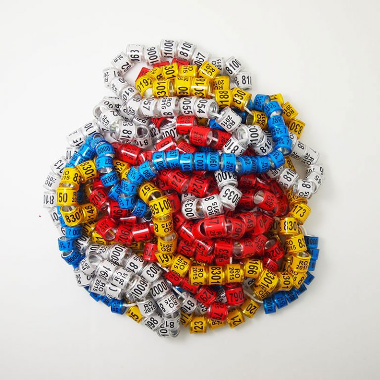 Pigeon Rings - CNCPROTOLAB-CNC PROTO LAB