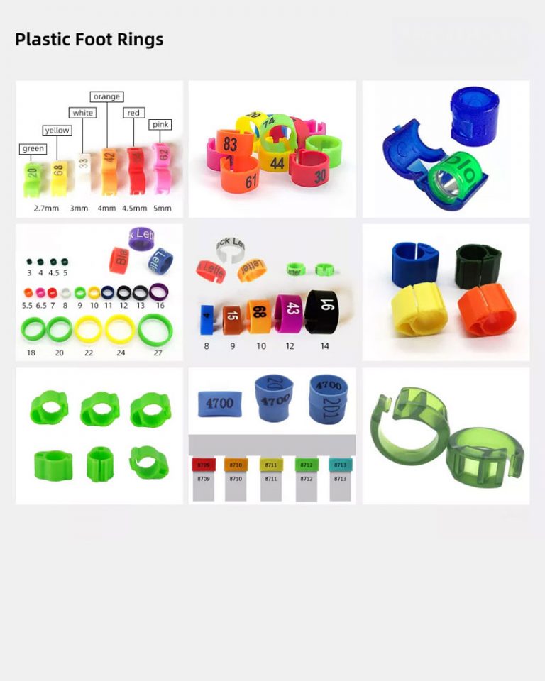 Pigeon Rings - CNCPROTOLAB-CNC PROTO LAB